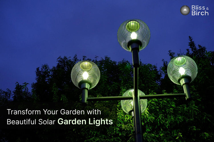 Transform Your Garden with Beautiful Solar Garden Lights | Bliss and Birch